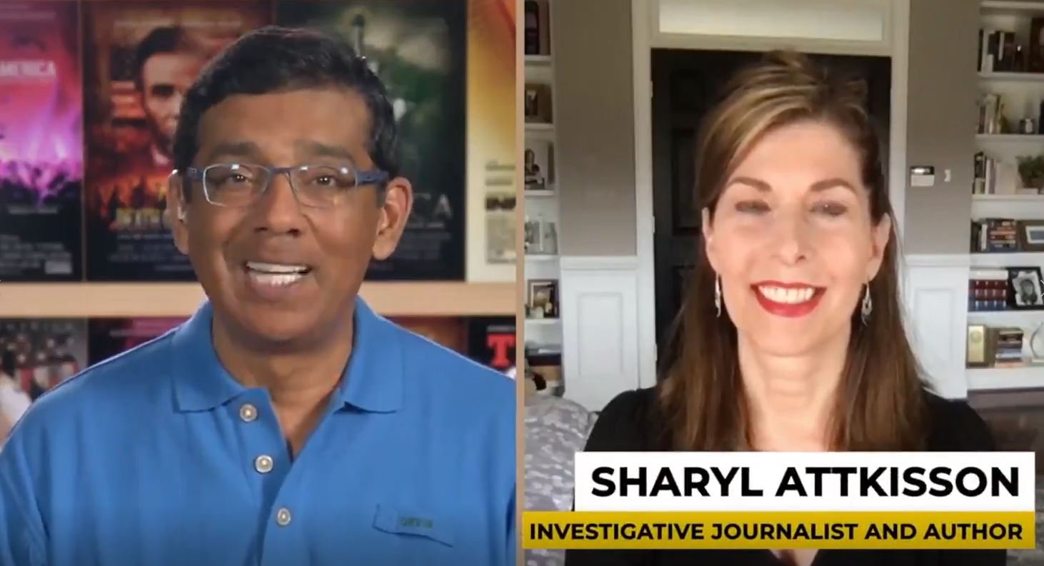 Investigative journalist Sharyl Attkisson explains when she Realized ...