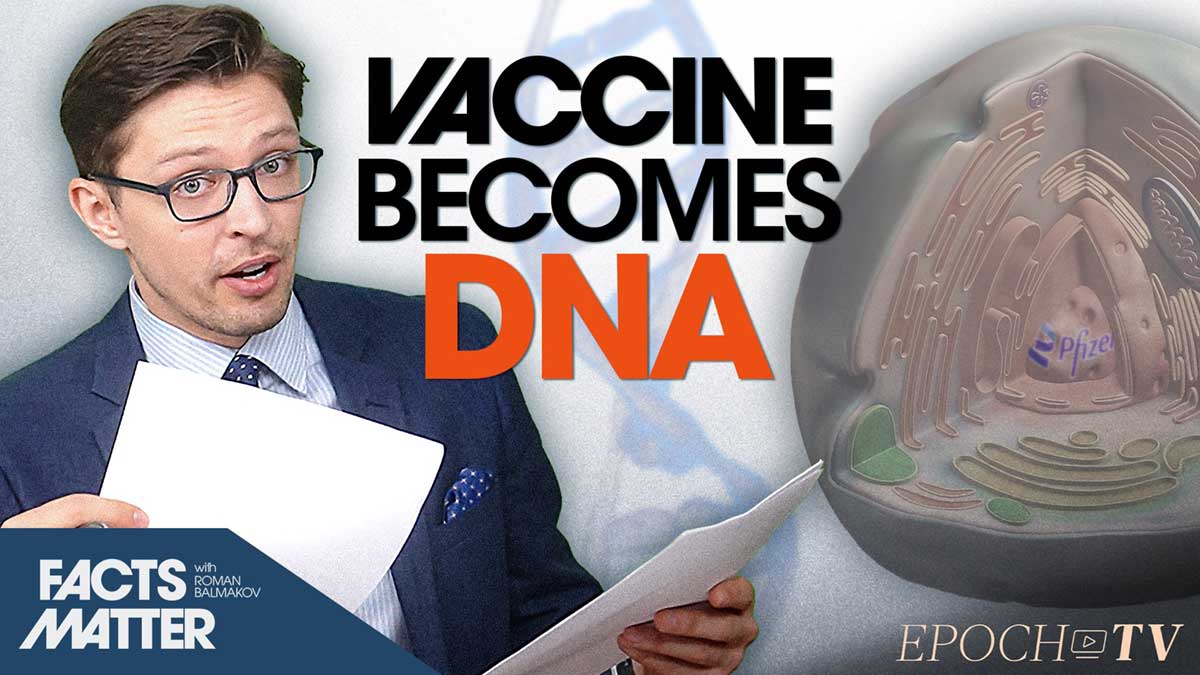 Study - Covid: Pfizer’s mRNA Vaccine Goes Into Liver Cells and Is ...