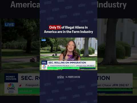 Secretary Rollins: "Of the millions of illegal aliens...only 1% of ...